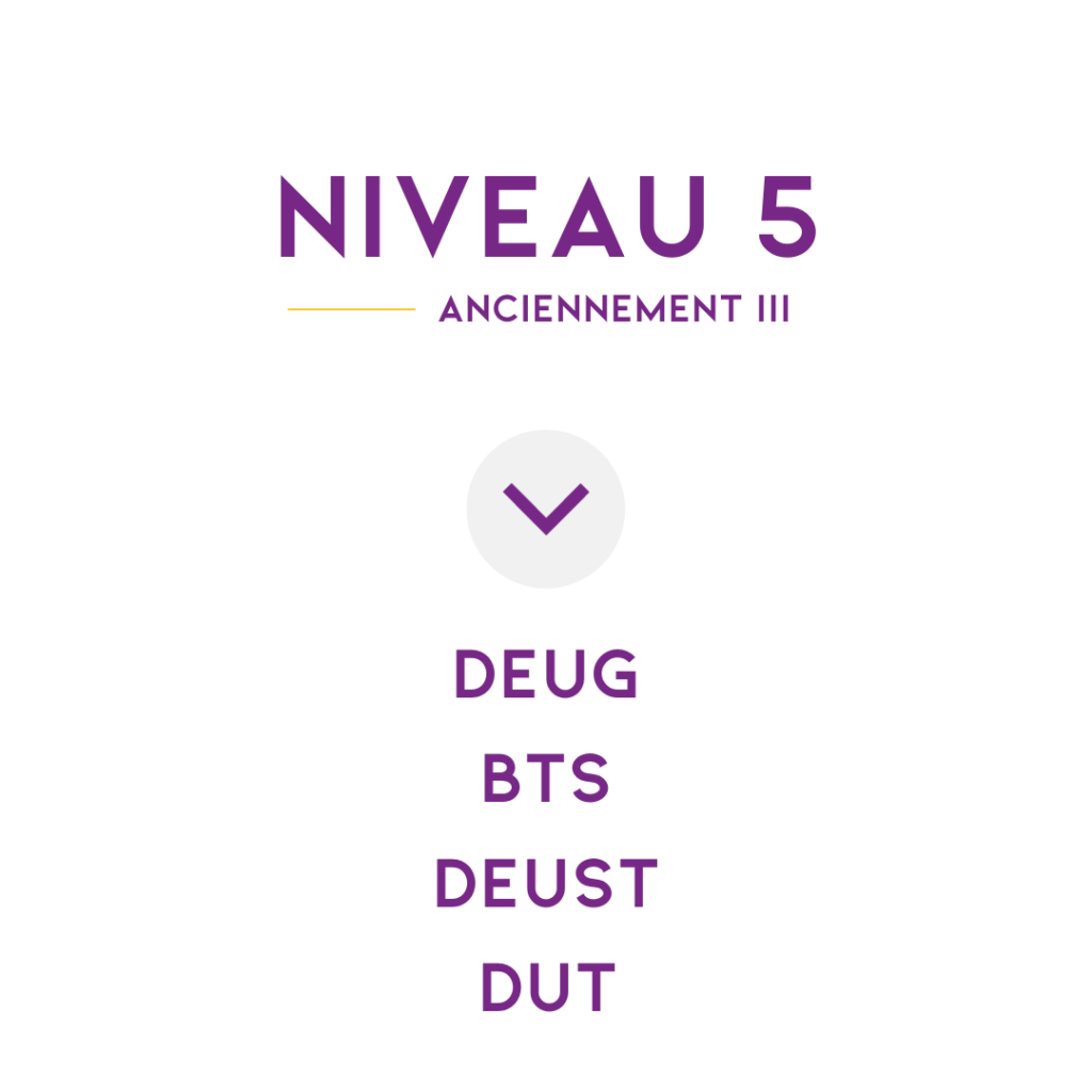 Nos diplômes de Niveau 7 (niveau bac+5) - Purple Campus
